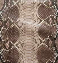 Python Leather | Roje Exotic Leather
