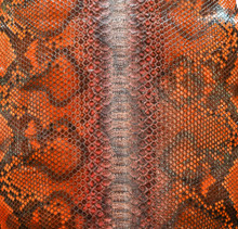 Python Leather | Roje Exotic Leather