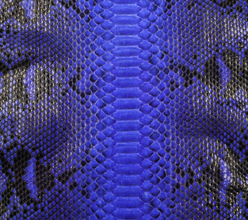 Reticulated – B.C – U.B. – Blue – Glazed | Roje Exotic Leather