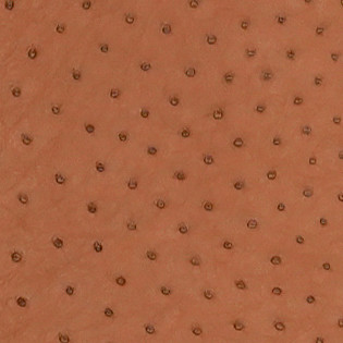 Ostrich Body – Rum Brown – Matte | Roje Exotic Leather