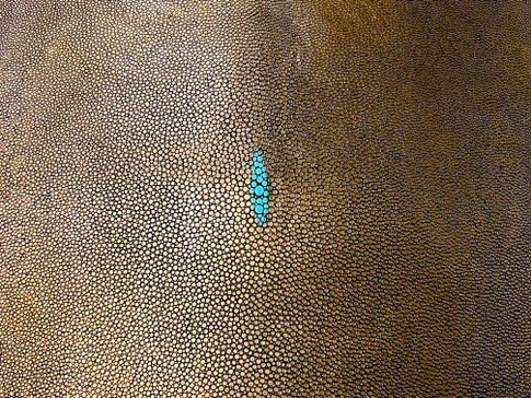 Stingray – Bronze Matte – Metallic | Roje Exotic Leather