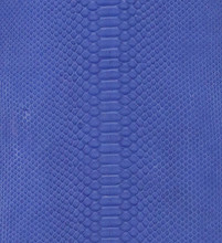 Python Leather | Roje Exotic Leather