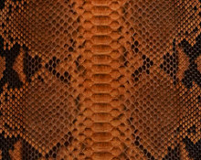 Python Leather | Roje Exotic Leather