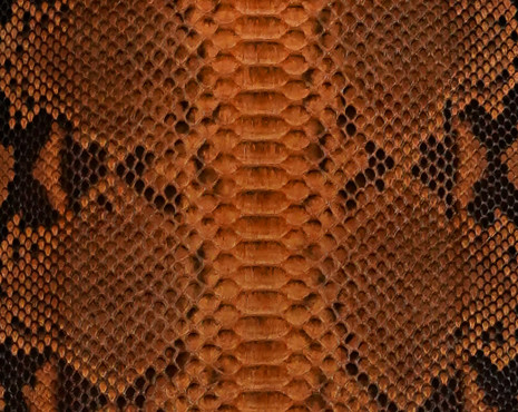 Reticulated- B.C. -U.B. – Anejo – Glazed | Roje Exotic Leather