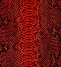 Python Leather | Roje Exotic Leather