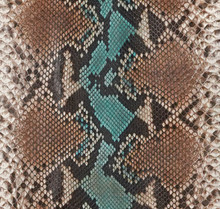 Python Leather | Roje Exotic Leather
