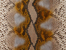 Python Leather | Roje Exotic Leather