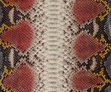 Python Leather | Roje Exotic Leather