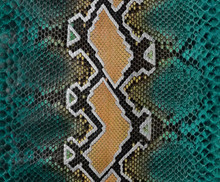 Python Leather | Roje Exotic Leather