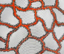Python Leather | Roje Exotic Leather