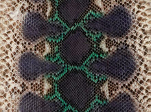 Python Leather | Roje Exotic Leather