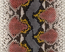 Python Leather | Roje Exotic Leather