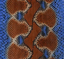 Python Leather | Roje Exotic Leather