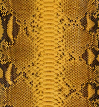 Python Leather | Roje Exotic Leather