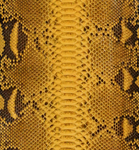 Reticulated Python – FC – Yellow- Glazed | Roje Exotic Leather