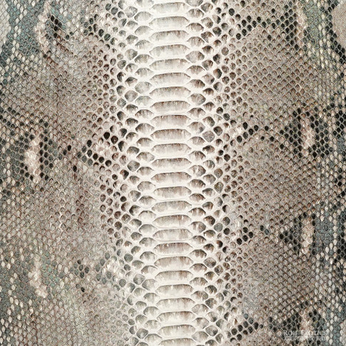 Reticulated – B.C. – U.B. – 038 | Roje Exotic Leather