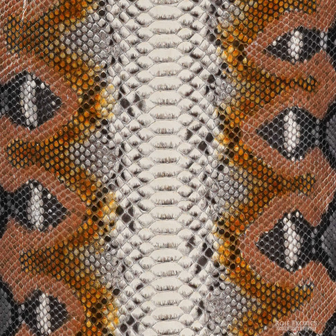Reticulated – B.C. – U.B. – 741 | Roje Exotic Leather