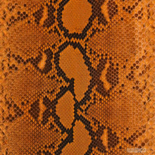 Python Leather | Roje Exotic Leather