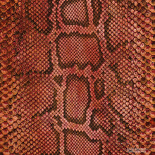 Python Leather | Roje Exotic Leather