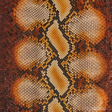 Python Leather | Roje Exotic Leather