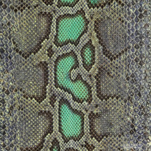 Python Leather | Roje Exotic Leather