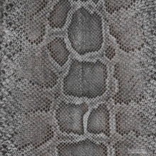 Python Leather | Roje Exotic Leather