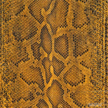 Python Leather | Roje Exotic Leather