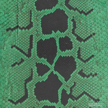 Python Leather | Roje Exotic Leather