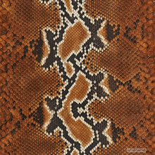 Python Leather | Roje Exotic Leather