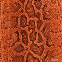 Python Leather | Roje Exotic Leather
