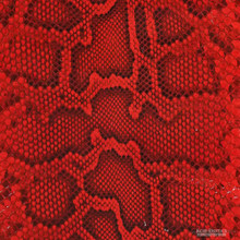 Python Leather | Roje Exotic Leather