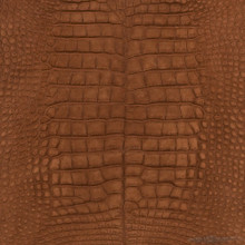 Alligator Leather | Roje Exotic Leather