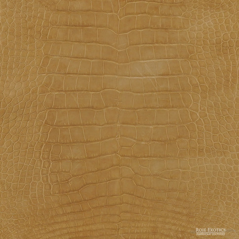 Alligator – Tan – Nubuck | Roje Exotic Leather