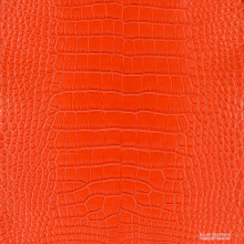Alligator Leather | Roje Exotic Leather