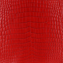 Crocodile Leather | Roje Exotic Leather