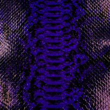 Python Leather | Roje Exotic Leather