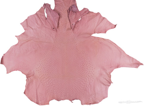 Ostrich – Pink – Iridescent | Roje Exotic Leather