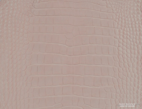 Alligator – Blush – Matte | Roje Exotic Leather