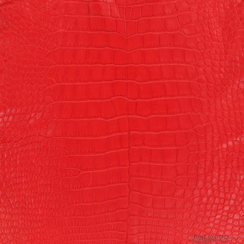 Alligator – Apple Red – Garment | Roje Exotic Leather