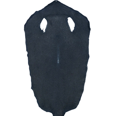 Stingray – Black – Sanded | Roje Exotic Leather