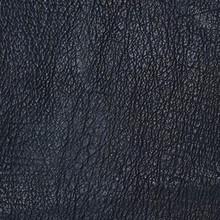 Shark Leather | Roje Exotic Leather