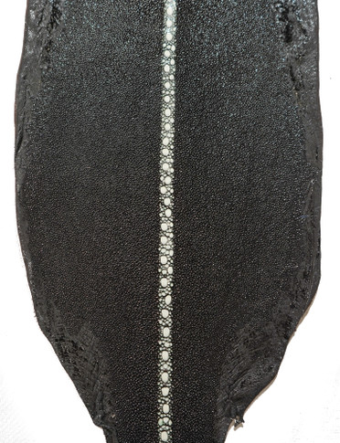 Stingray – Black – Row Stone | Roje Exotic Leather