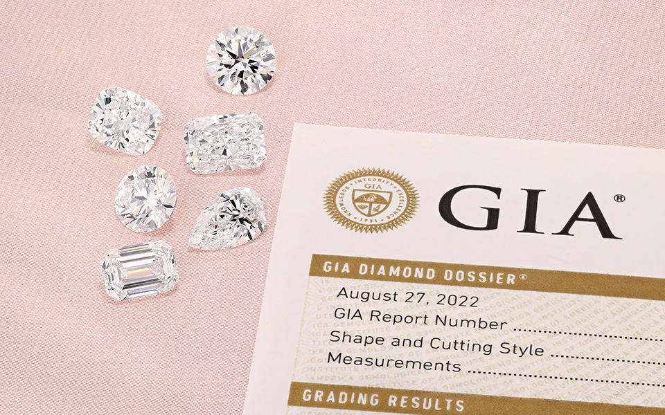 Micro-Pring Engagement Ring | CR10-Custom | Icing On The Ring