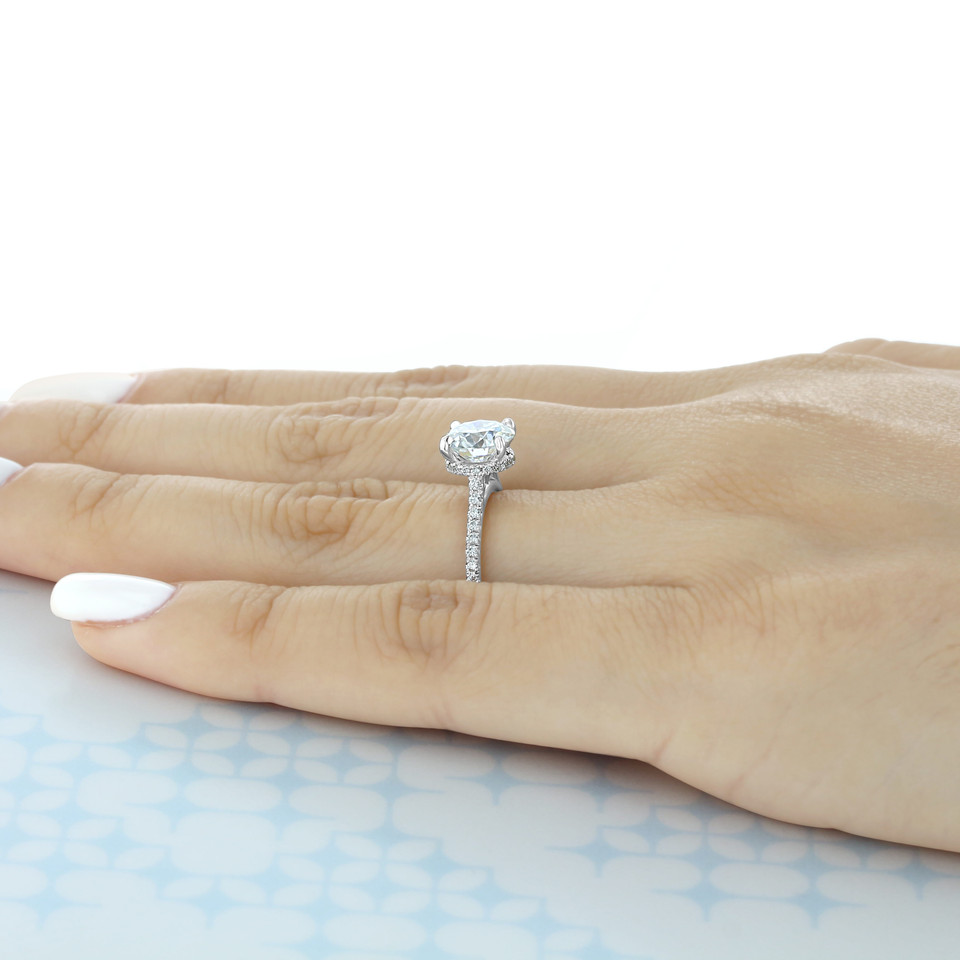 Delaney Hidden Halo Engagement Ring | Icing On The Ring