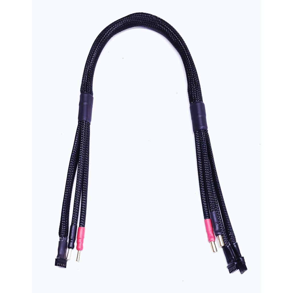 Dual 4s Type C/1 Fully Protected Balance Charge Lead w/ 5mm bullet ...
