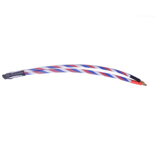 2021 Leveled Up Balance Charge Lead