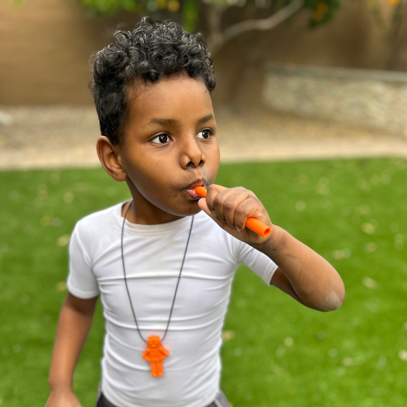 Oral Motor Chew Tools | ARK Therapeutic