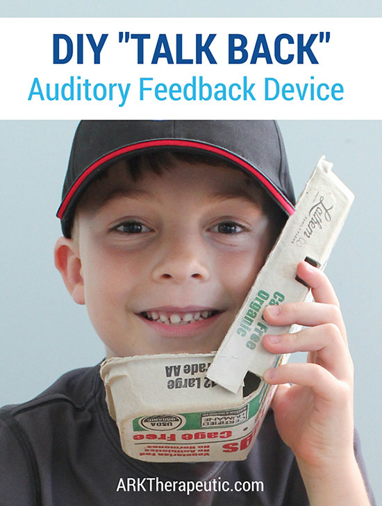 DIY "Talk Back" Auditory Feedback Device - ARK Products, LLC