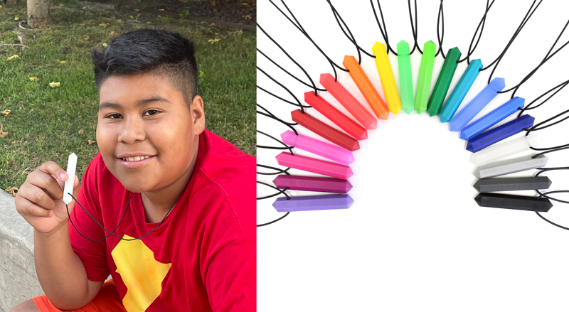 14 Discreet Chew Toys for Teens and Adults - ARK Products, LLC