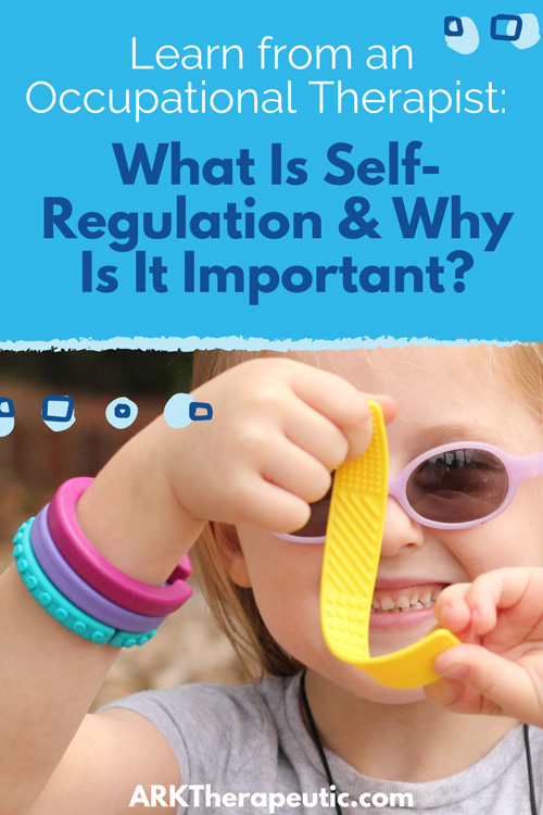 Self-Regulation Tips & Strategies with OT Katie Zelinski - ARK Products ...